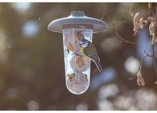 Plastia Krmítko pro ptáky Robin, antracit