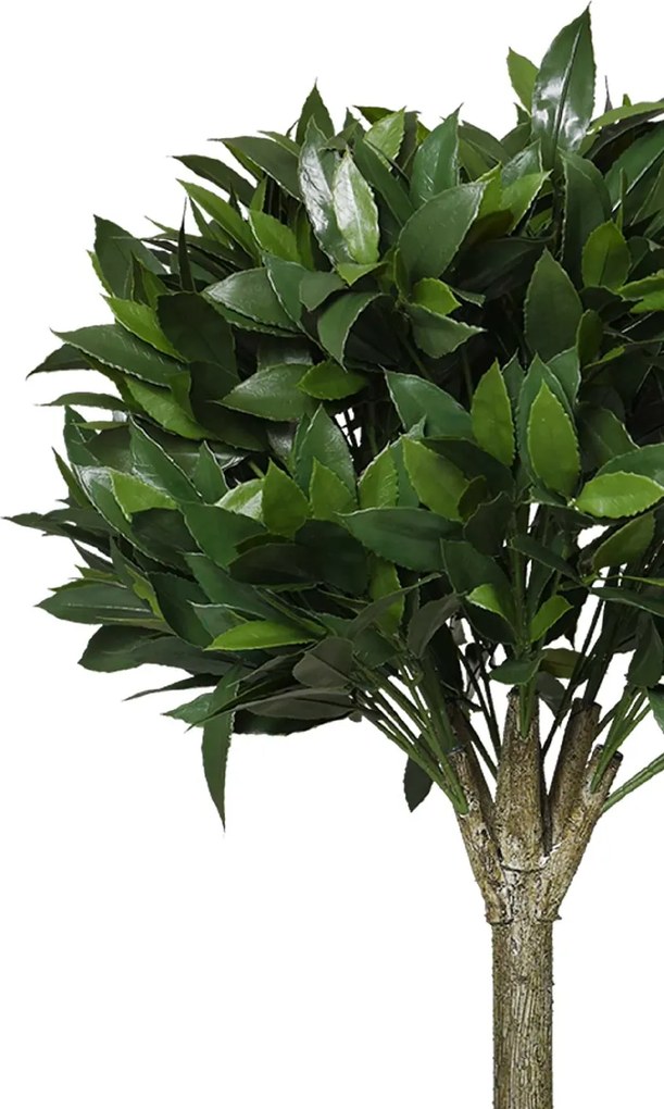 Umělý vavřín LAURUS, plast, výška 90 cm, zelená