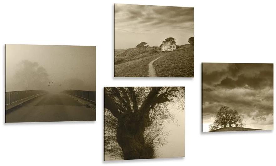 Set obrazů tajemná příroda v sépiovém provedení Varianta: 4x 60x60