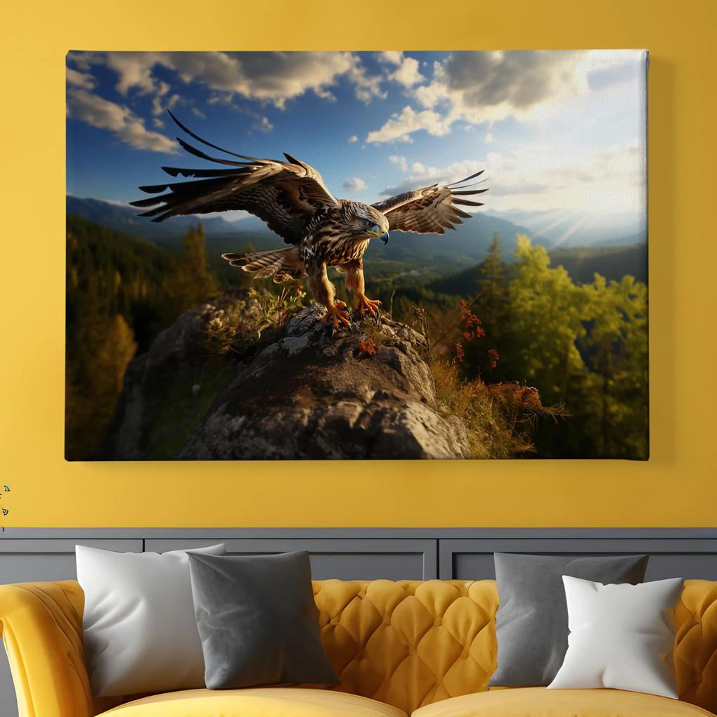 Obraz na plátně - Káně lesní přistává na skále FeelHappy.cz Velikost obrazu: 60 x 40 cm