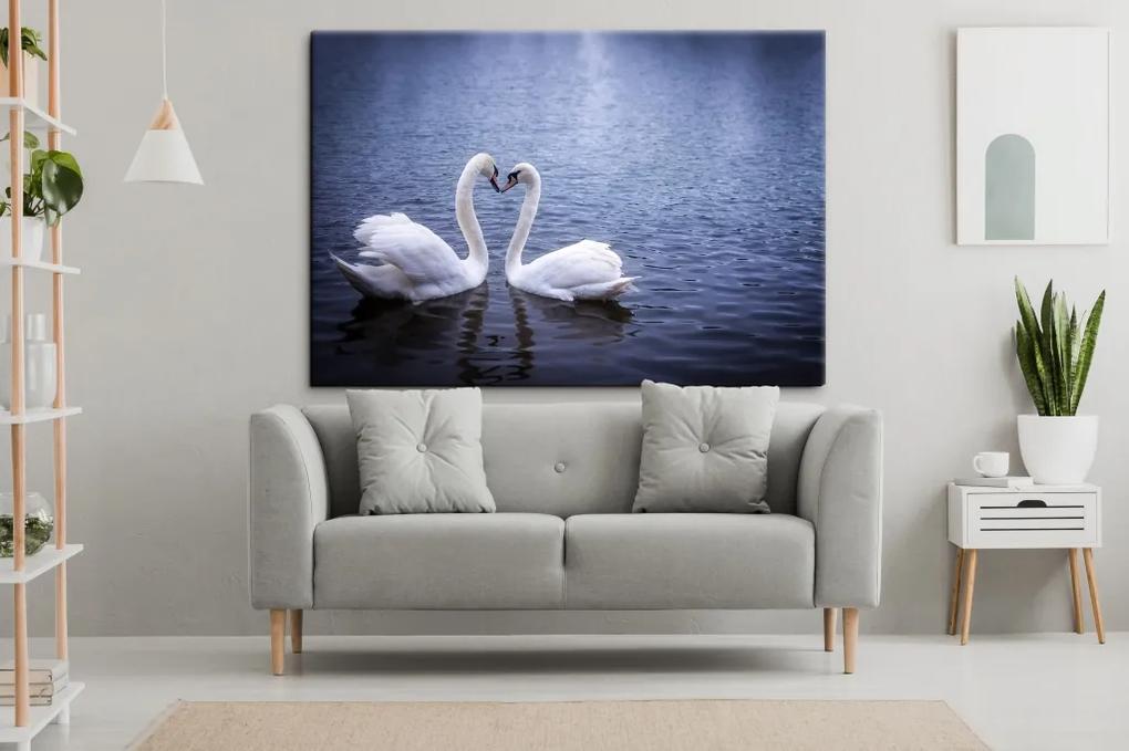Malvis ® Obraz na plátně Láska labutí Velikost: 120x80 cm