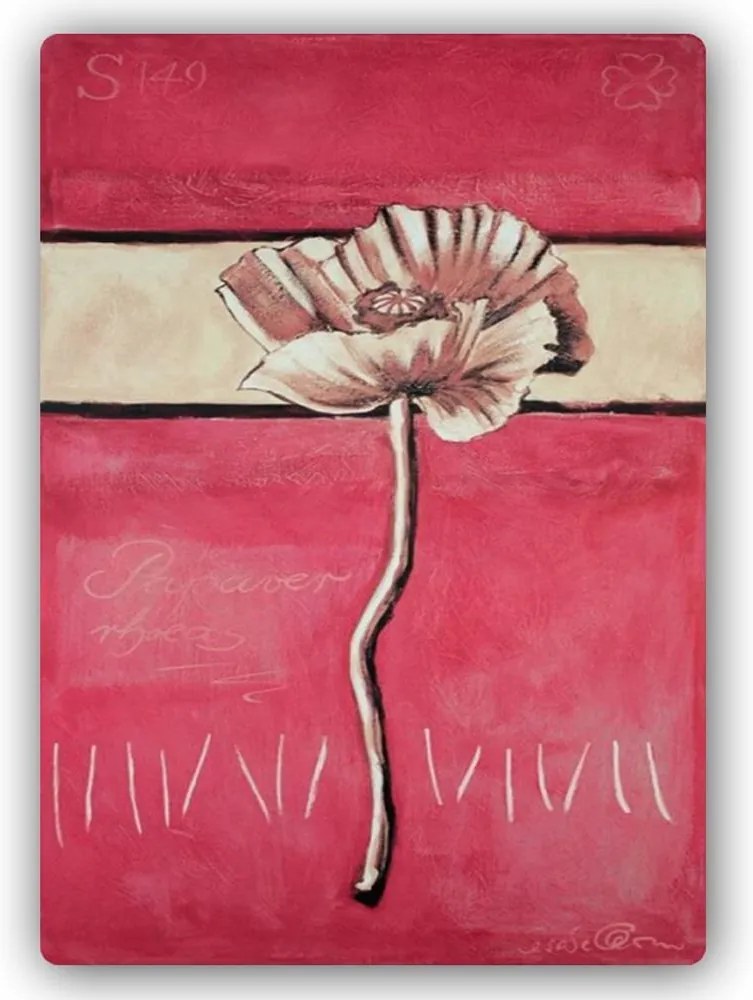 CARO Kovový obraz - Poppy Flower On A Pink Background 40x60 cm