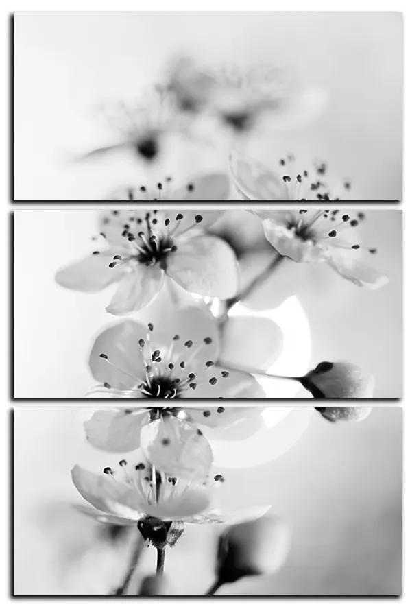 Obraz na plátně - Malé květy na větvi - obdélník 7173QB (120x80 cm)