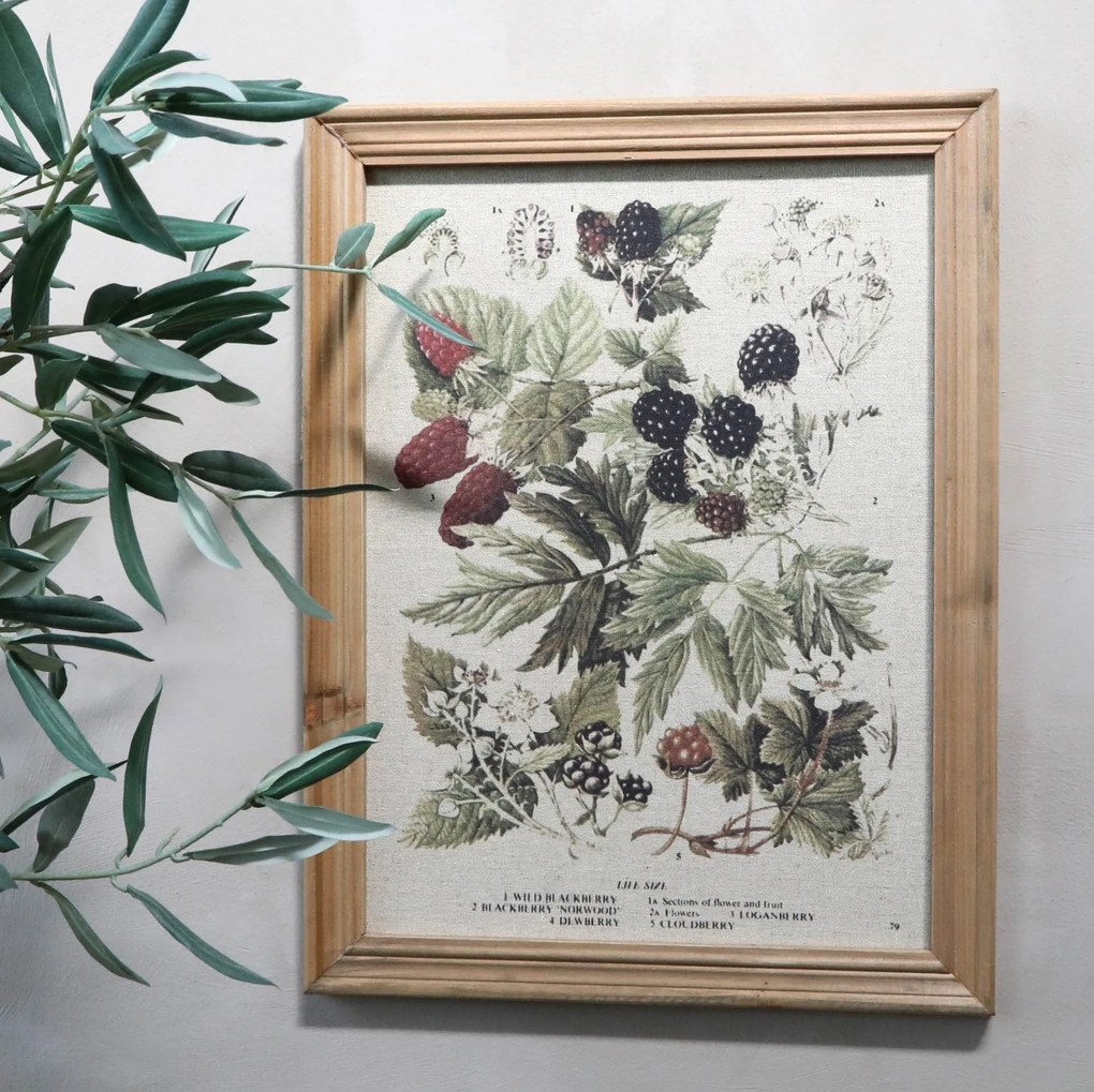 Chic Antique Botanický obraz v rámu Berries 43x33cm, přírodní barva, dřevo, textil