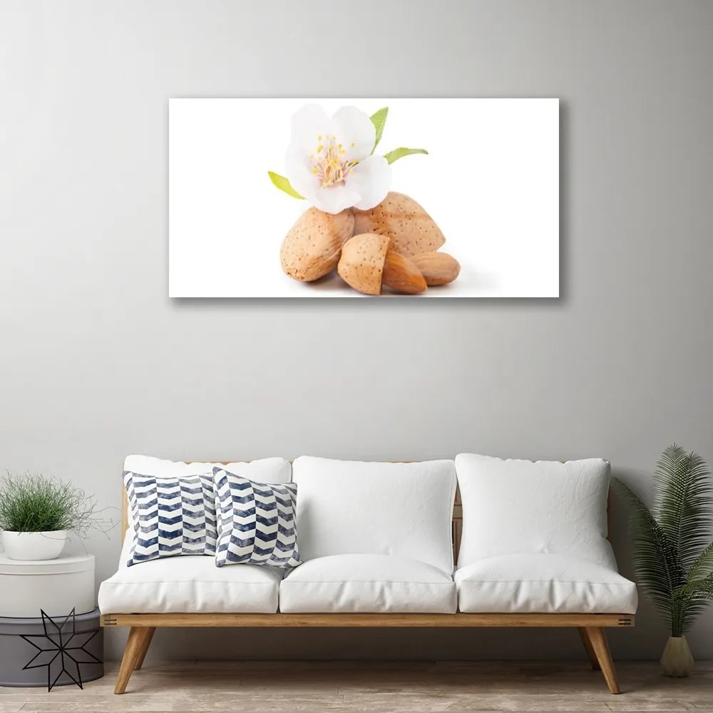 Obraz na skle Květ Pistácie Příroda 125x50 cm