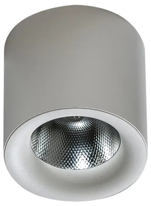 LED bodové světlo Mane 20W Dimm bílé