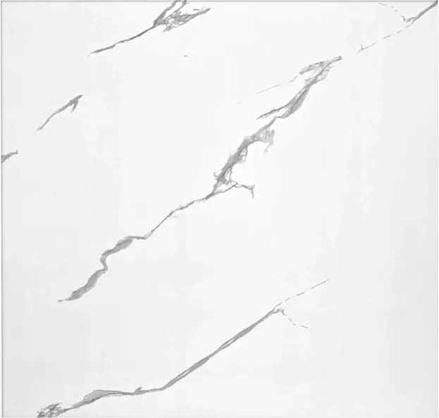 Designový FLEXI panel Marble White Decor PUV9 60x60 cm