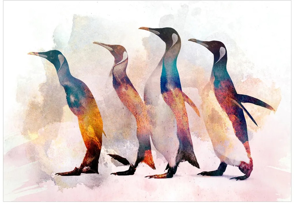 Fototapeta - Penguin Wandering
