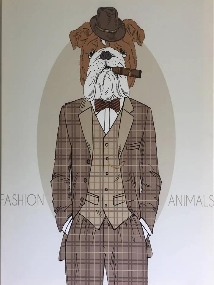 Dejtonazed Obraz Retro Bulldog (Fashion Animals), 70×50 cm