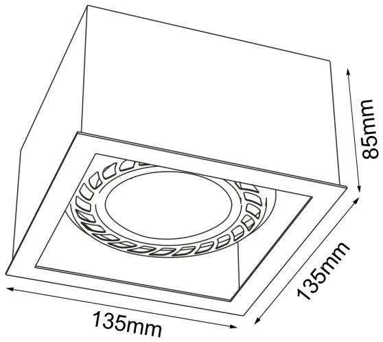 Brosline 1272 - Bodové svítidlo CAGE 1xGU10/18W/230V bílá