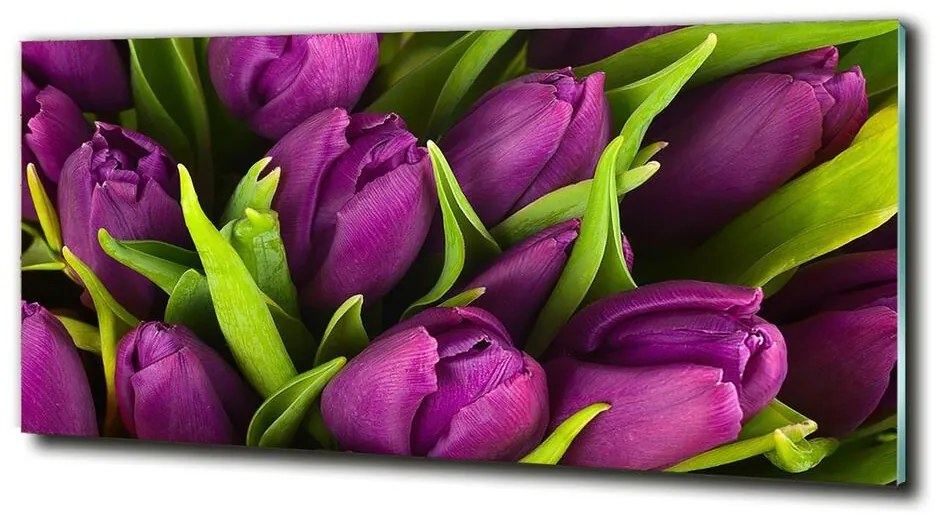 Wallmuralia Fotoobraz na skle Fialové tulipány 125x50 cm