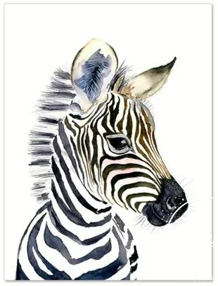 Obraz s motivem malovaná zvířecí mláďata Motiv: TX2074 zebra II., Rozměry (cm): 20x25 cm