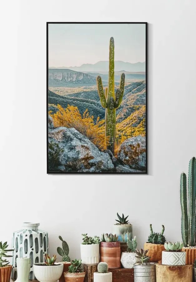 Obraz Cactus B 60x90 cm vícebarevný