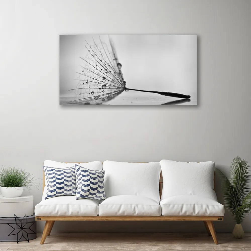 Obraz na plátně Pampeliška Semínka 125x50 cm