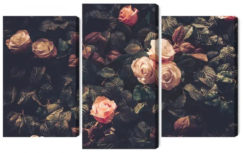 Vícedílný obraz Pastelové Růže Ve Vintage Stylu Nedostatek Nedostatek Přírodní plátno 180x120