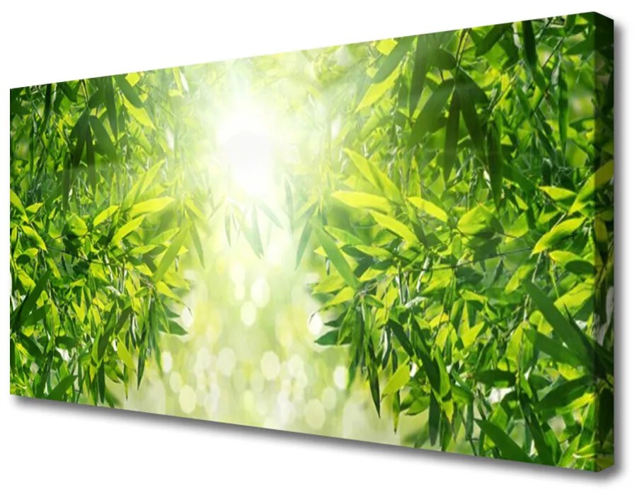 Obraz na plátně Listy Příroda Rostlina 100x50cm