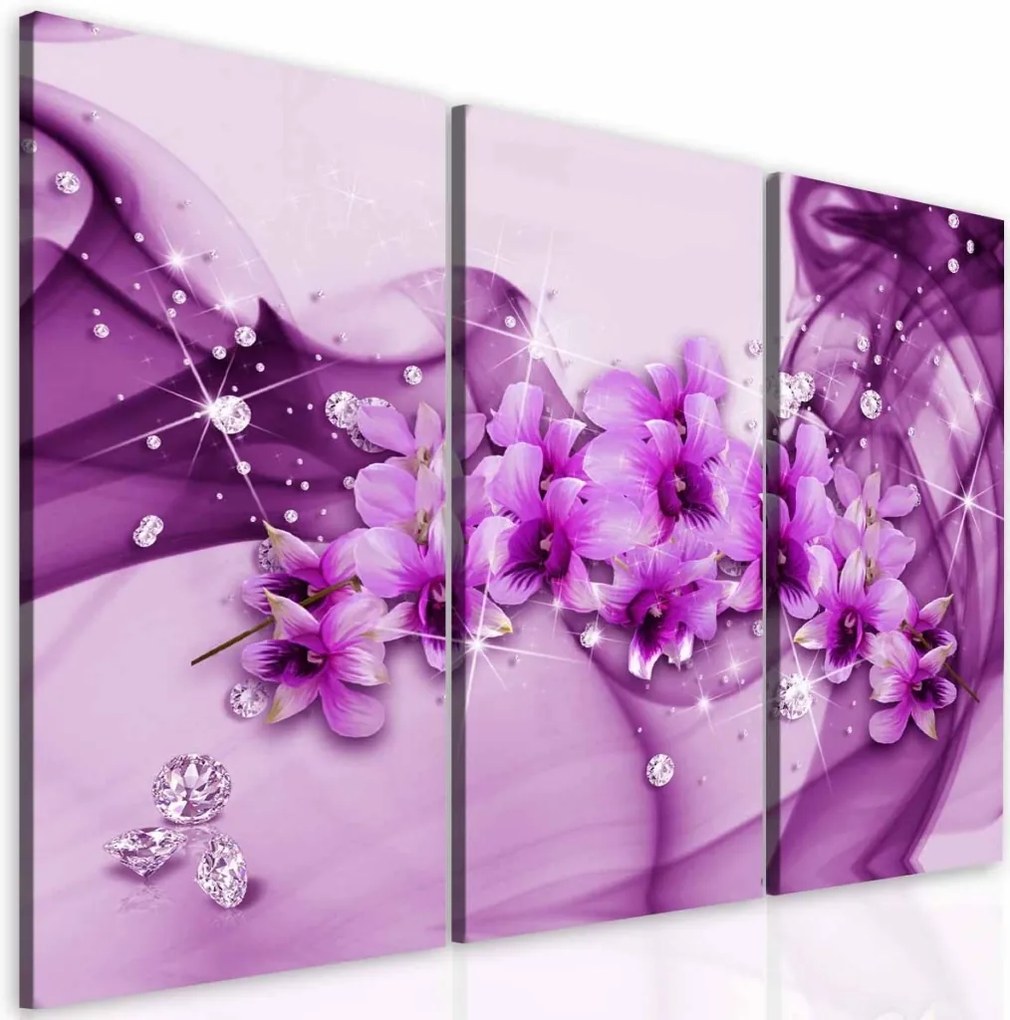 Malvis Malvis Obraz fialové květiny  60x50 cm