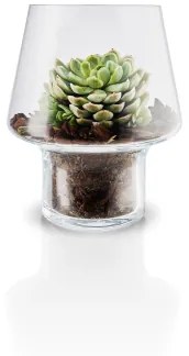 Skleněná váza na sukulenty Succulent Vase 15 cm Eva Solo
