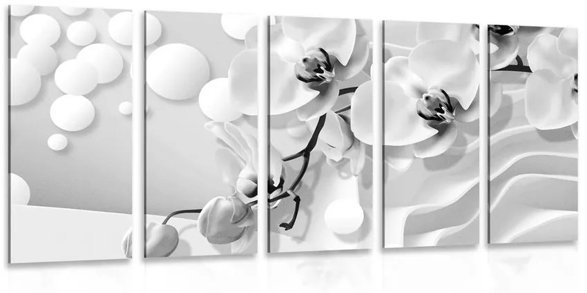 5-dílný obraz černobílá orchidej na abstraktním pozadí Varianta: 100x50