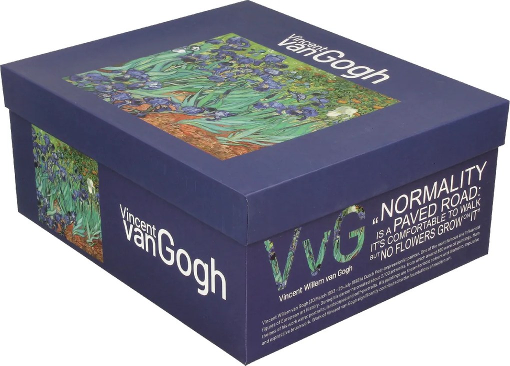 Porcelánový šálek s podšálkem Van Gogh Irises 250 ml sada 2ks