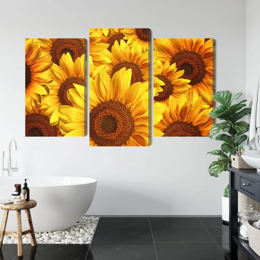 Vícedílný obraz 3D Květy Slunečnice Nedostatek Nedostatek Přírodní plátno 90x60