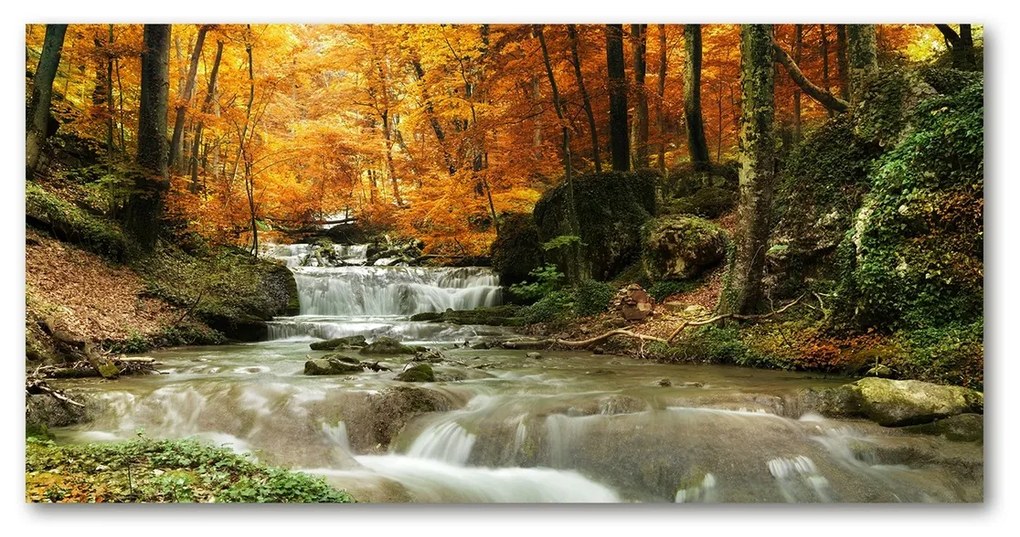 Foto obraz fotografie na skle Vodopád v lese