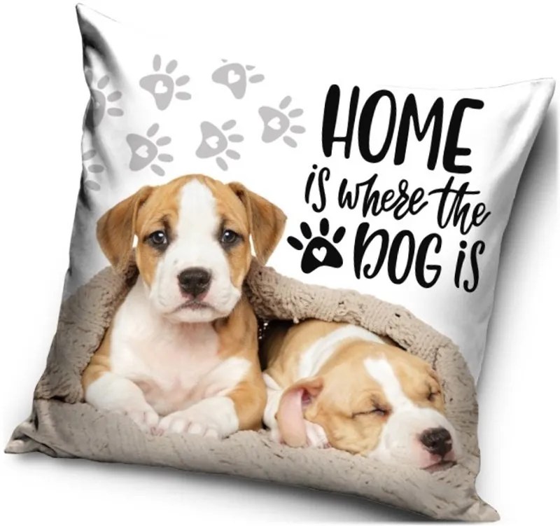 Polštář s pejsky - motiv Home is where the dog is - Domov je tam, kde je pes - 40 x 40 cm