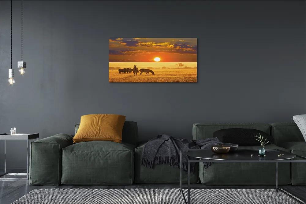Obrazy na plátně Zebra západ mraky 125x50 cm