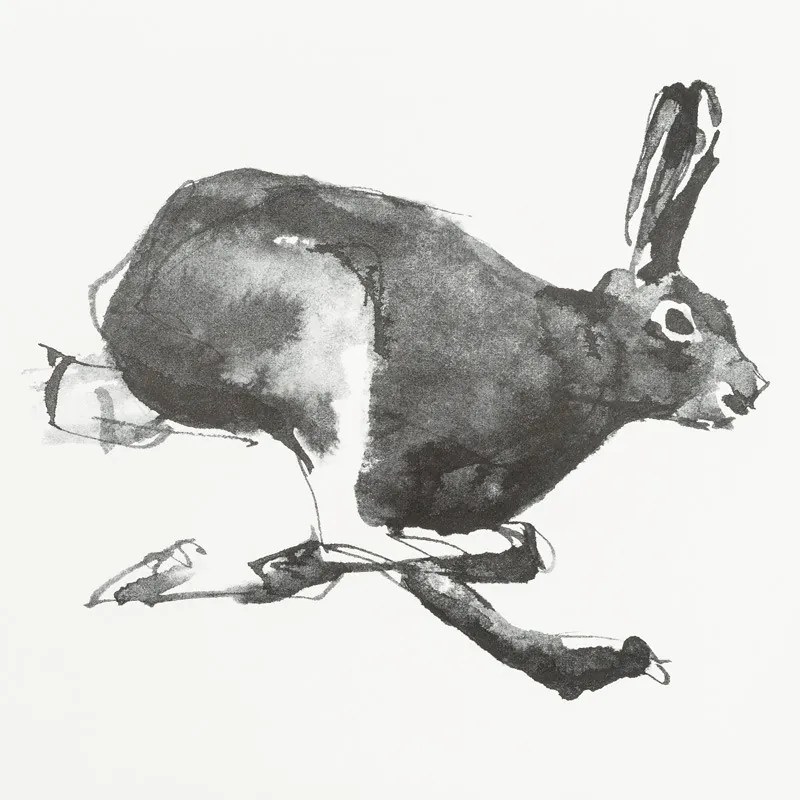 Plakát Mountain Hare 70x50