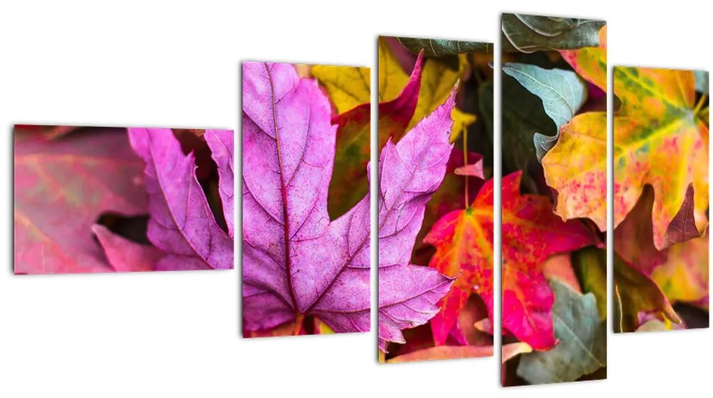 Obraz - podzimní listy (110x60 cm), 40 dalších rozměrů