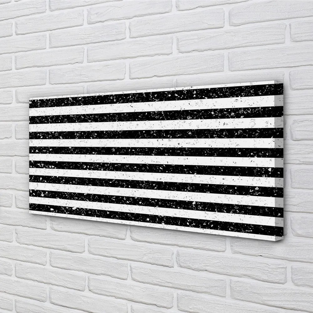 Obrazy na plátně Skvrny zebra pruhy 140x70 cm