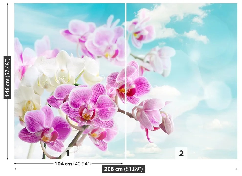 Fototapeta Orchideje Modrá 104x70