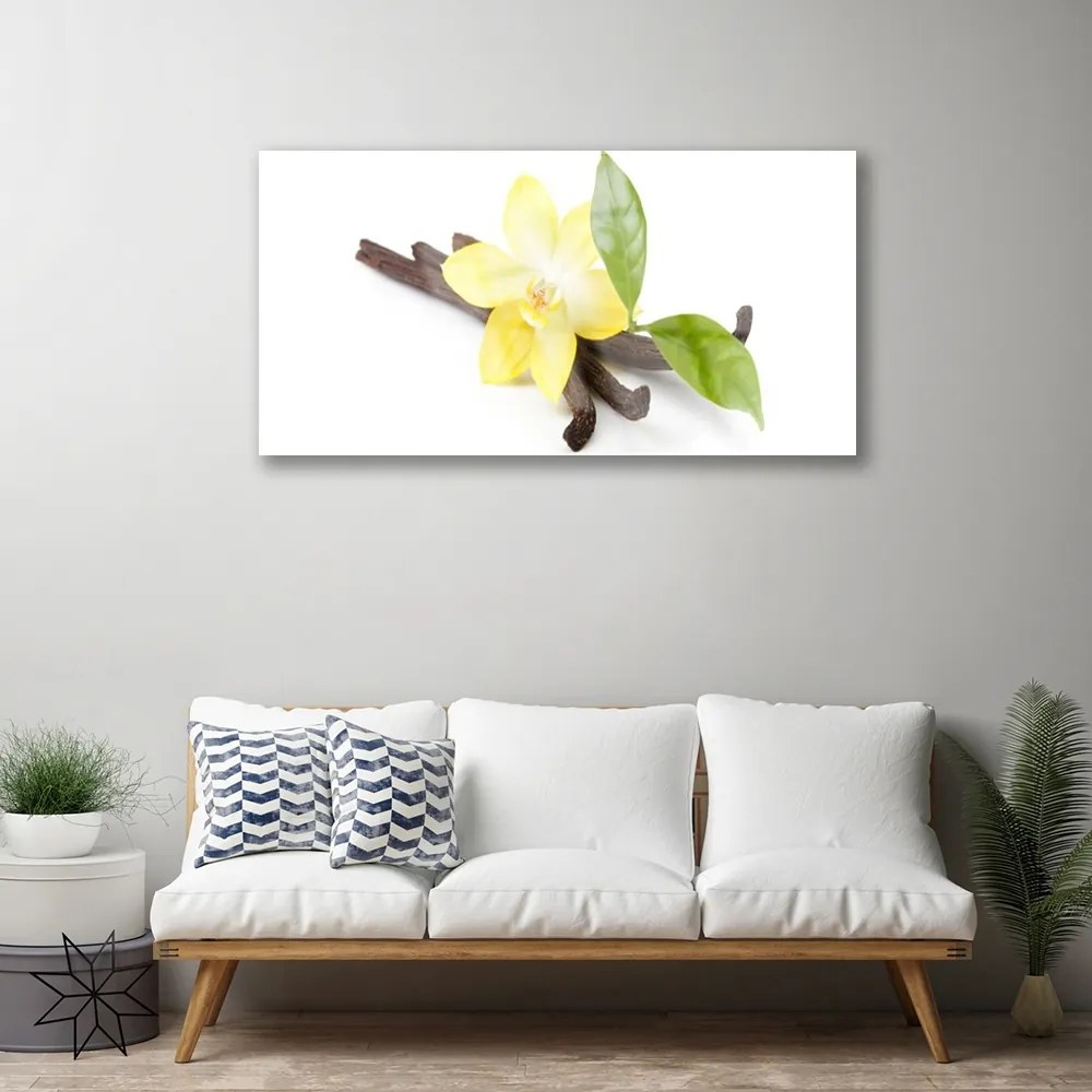 Obraz na skle Vanilka Listy Rostlina 100x50 cm
