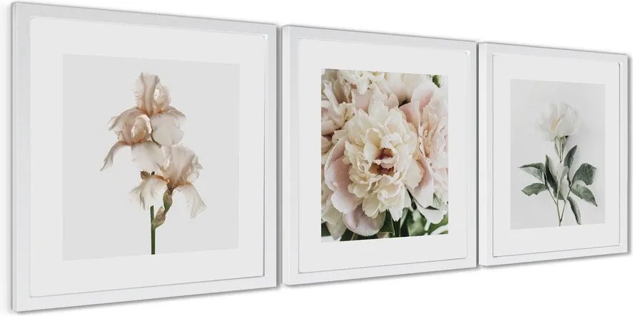 Tištěné obrazy v sadě 3 ks s rámem 30x30 cm Posy – Styler