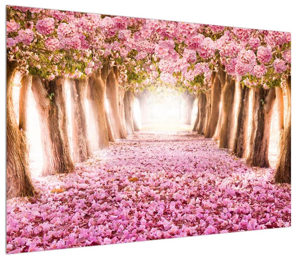 Obraz květinového chodníku (100x70 cm)