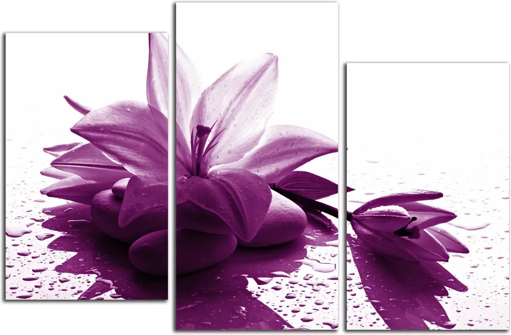 Obraz Fialový květ , vícedílný