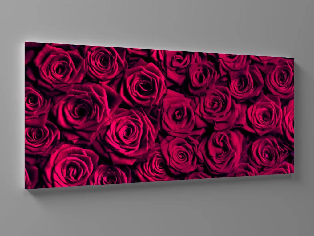 Liox Obraz červené růže Rozměr: 150 x 65 cm