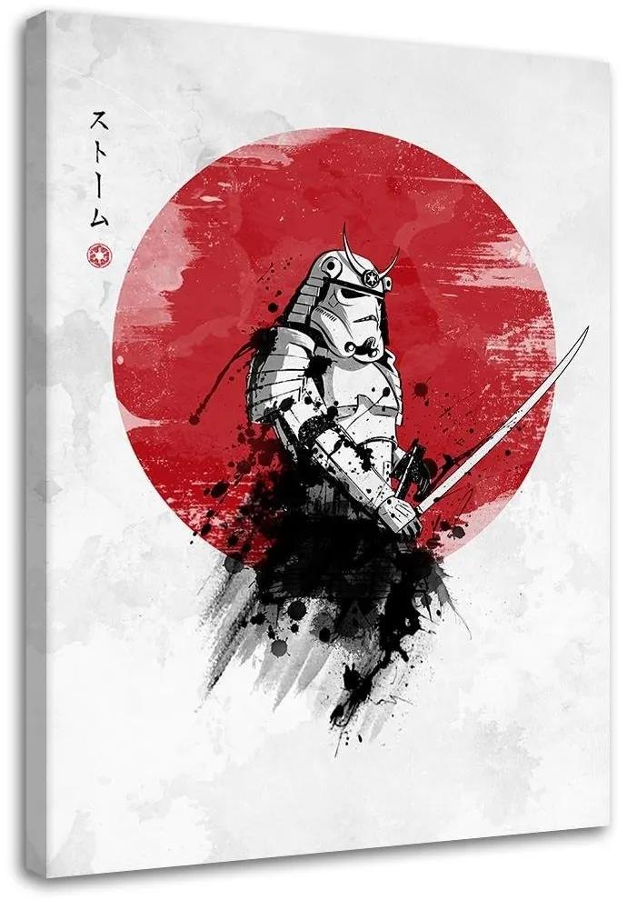Gario Obraz na plátně Samuraj a slunce - DDJVigo Rozměry: 40 x 60 cm