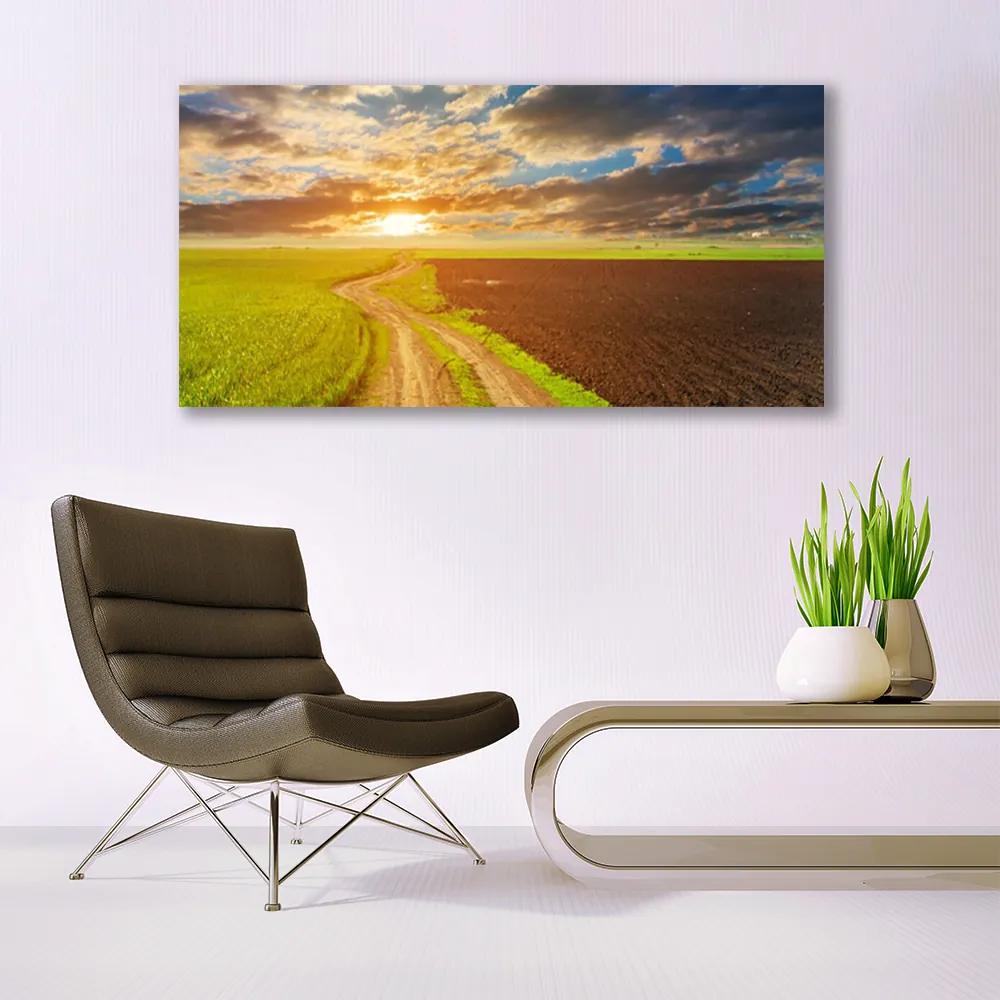 akrylový obraz Pole Nebe Slunce Příroda 120x60 cm