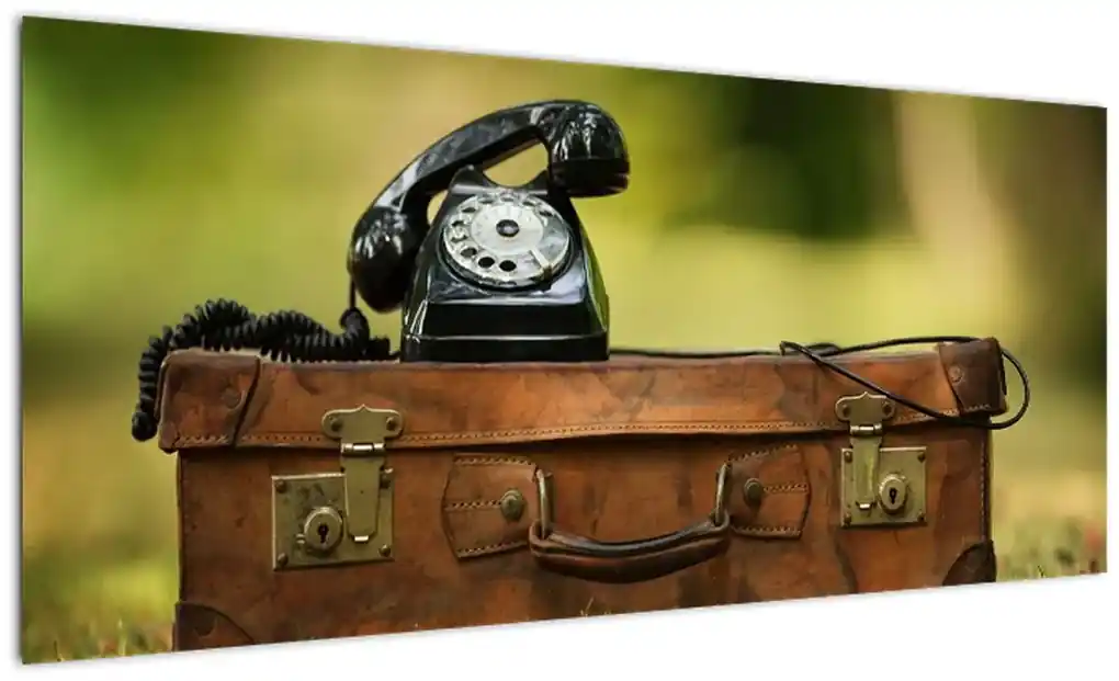 Telefon na kufru - obraz (100x40cm) | BIANO