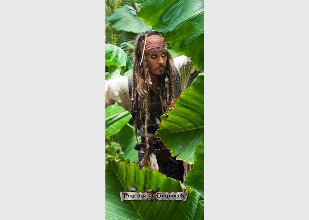 Dětská vliesová fototapeta na zed' Piráti z Karibiku v Džungli, Disney | 90 x 202 cm | DFTDNV 5417