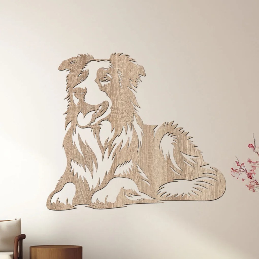 dřevo života Dřevěná dekorace psa BORDER COLLIE Zvolte rozměr (cm): 40x34, Zvolte barvu dekoru: Černá