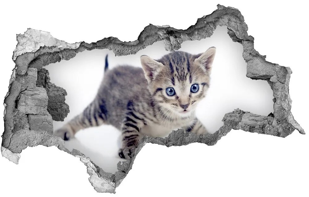 Wallmuralia Samolepící díra nálepka Malá kočka 95x73 cm