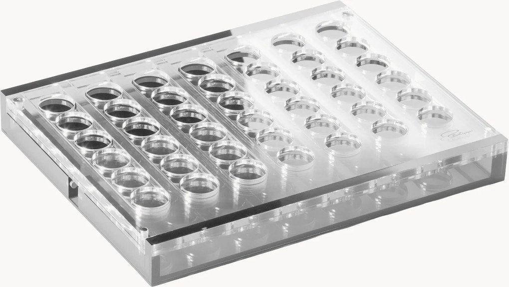 Strategická hra: 4 v řadě Yap