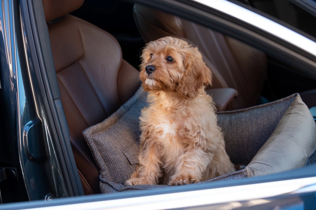 OH Charlie Autosedačka pro psy a kočky Winstor dark beige