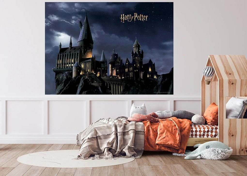 Dětská fototapeta na zed' Harry Potter Výhled na Bradavice | 252 x 182 cm | DFTDXL1965
