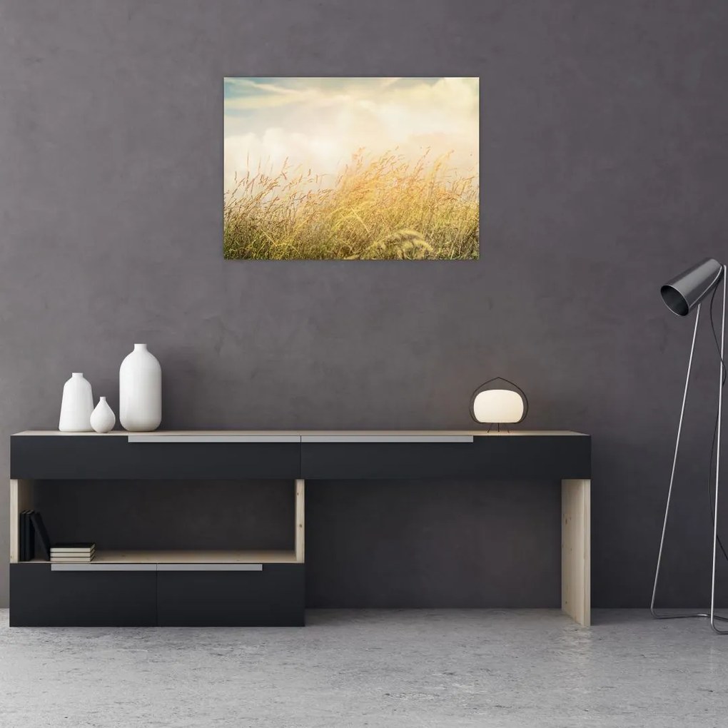 Skleněný obraz - Pole na podzim (70x50 cm)