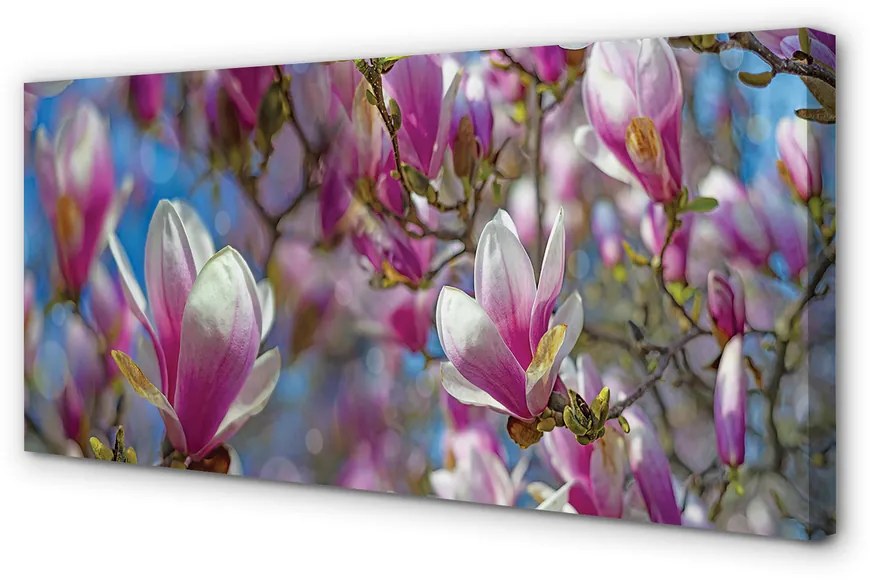 Obrazy na plátně magnolie strom 140x70 cm