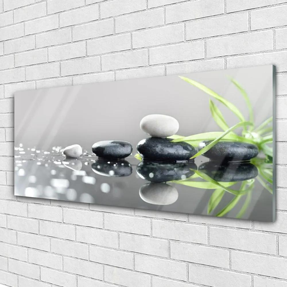 akrylový obraz Kameny Tráva Umění 125x50 cm