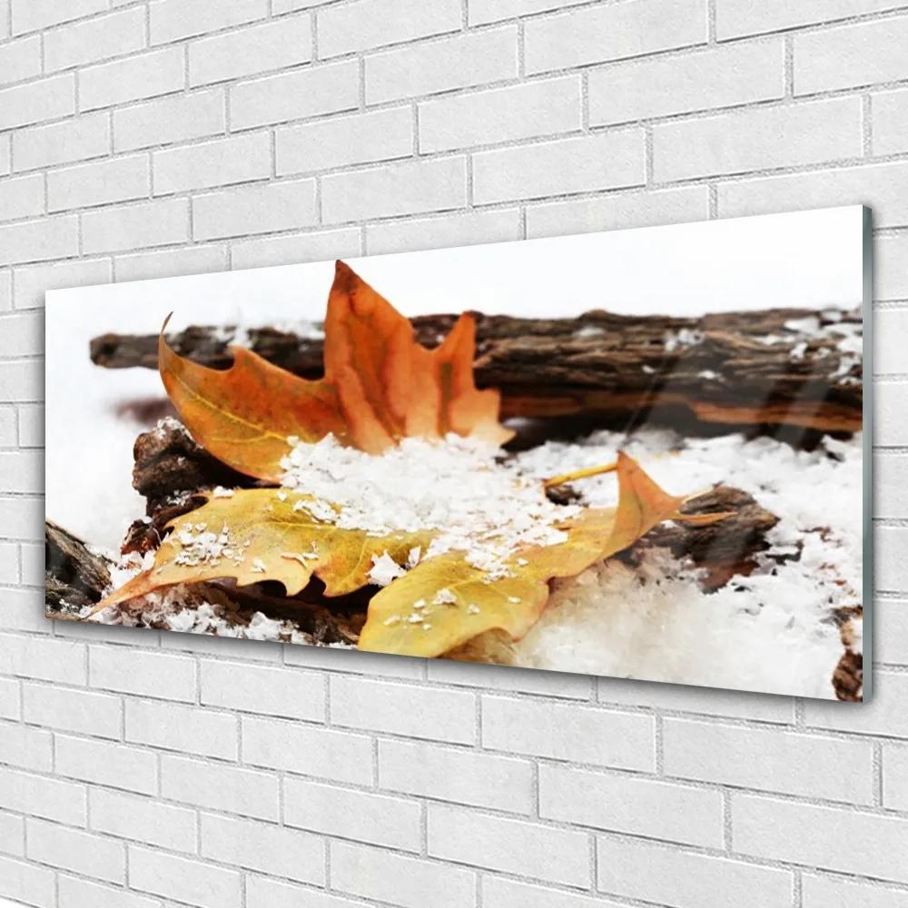 Plexisklo-obraz List Les Podzim Příroda 125x50 cm